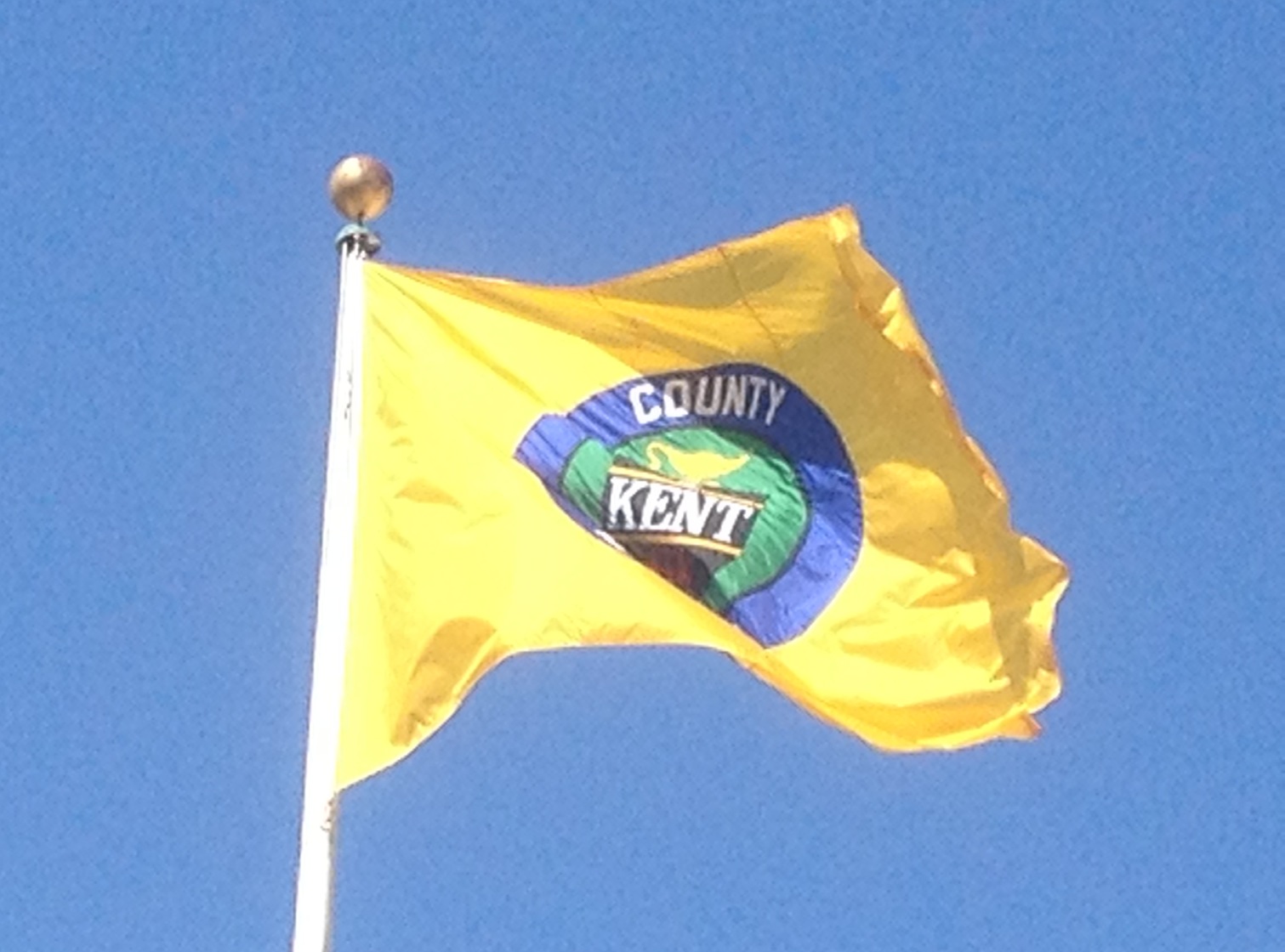 Veterans millage expected on ballot in November | wzzm13.com