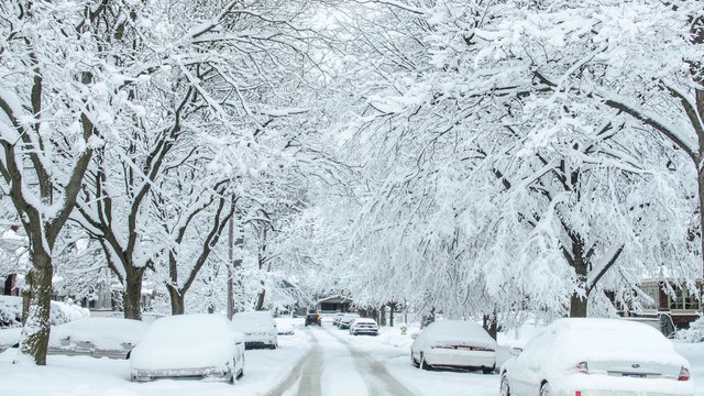 Winter's wallop: Michigan snowfall totals | WZZM13.com