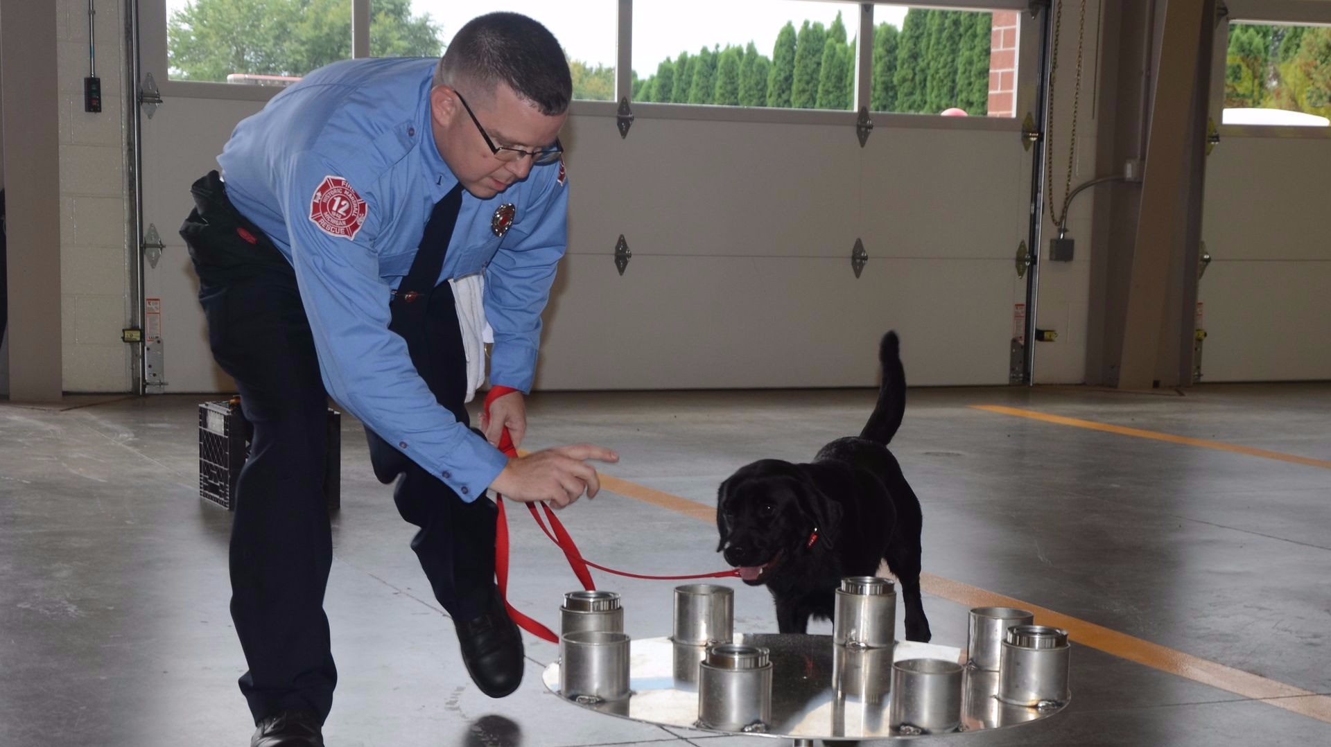 Hello, Bingo: Arson-sniffing dog is on the case | wzzm13.com