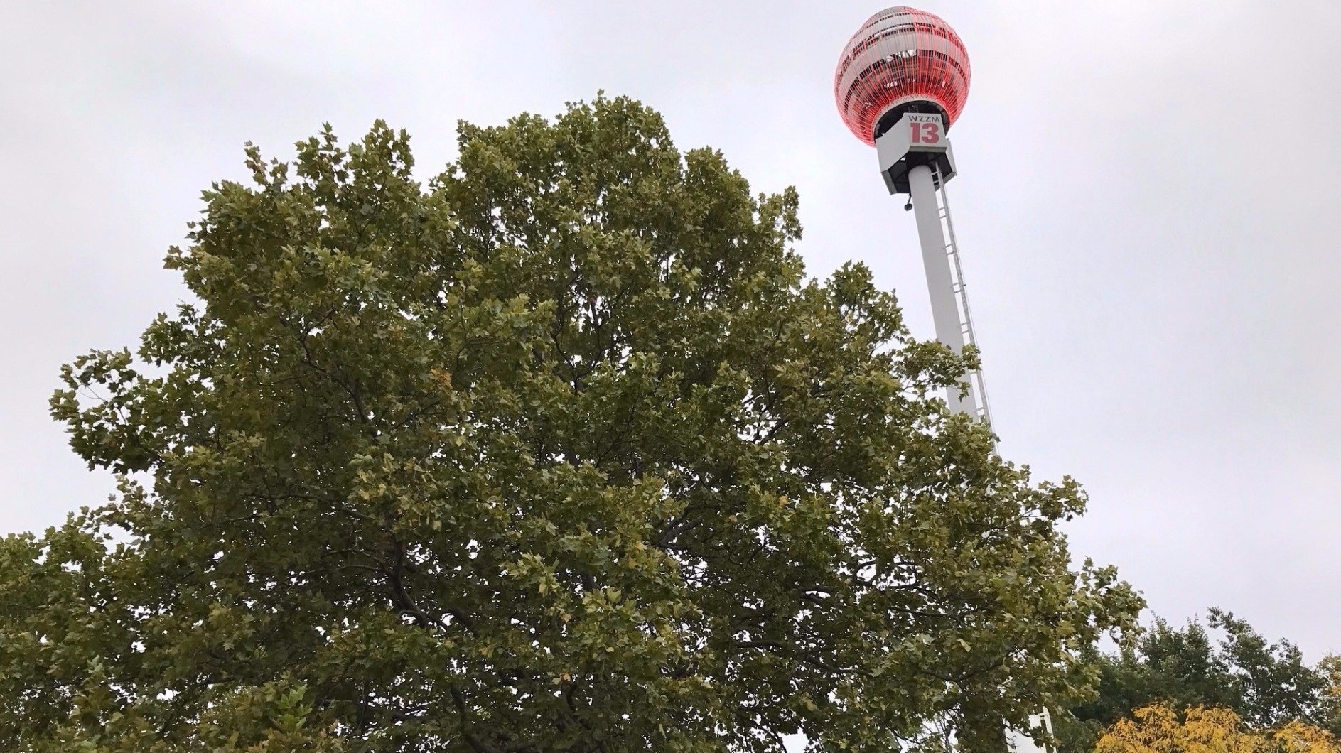 See latest Michigan fall foliage report: Colors slow to arrive | wzzm13.com