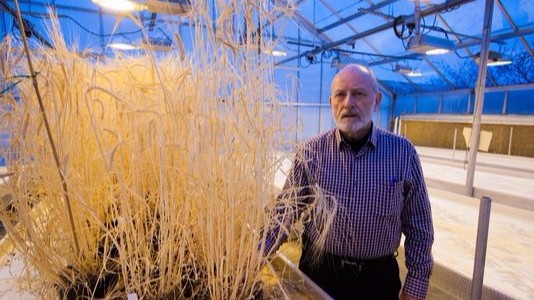 This MSU plant breeder has a beer named after him | wzzm13.com