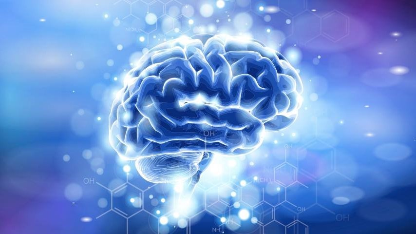 Explore the brain at Grand Rapids Public Museum | WZZM13.com