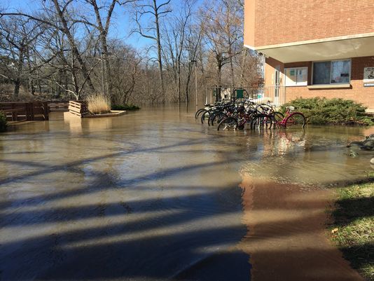 A swath of Michigan State University's campus along Red Cedar River is ...